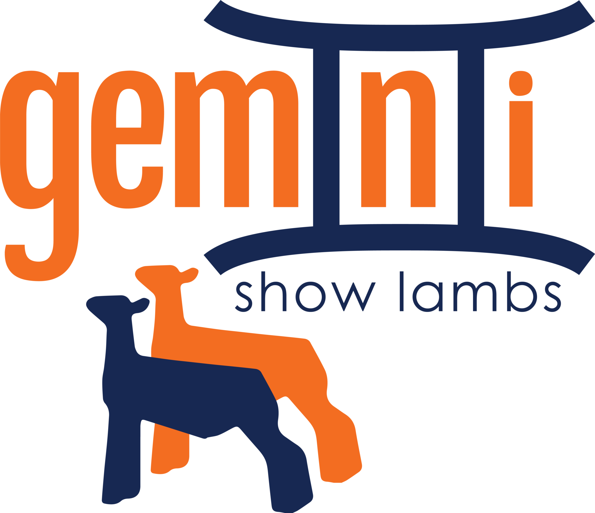 Leg Wraps - Gemini Show Lambs